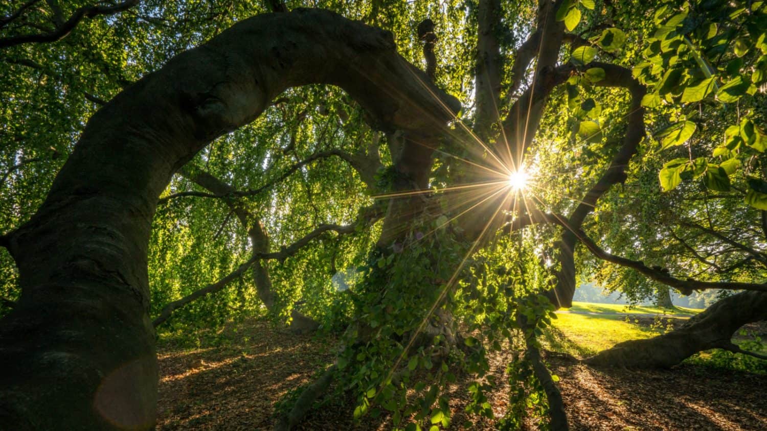 Explore the Estate | Lyndhurst Mansion