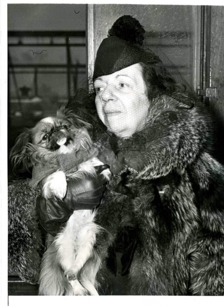 Lyndhurst’s History | Lyndhurst Mansion