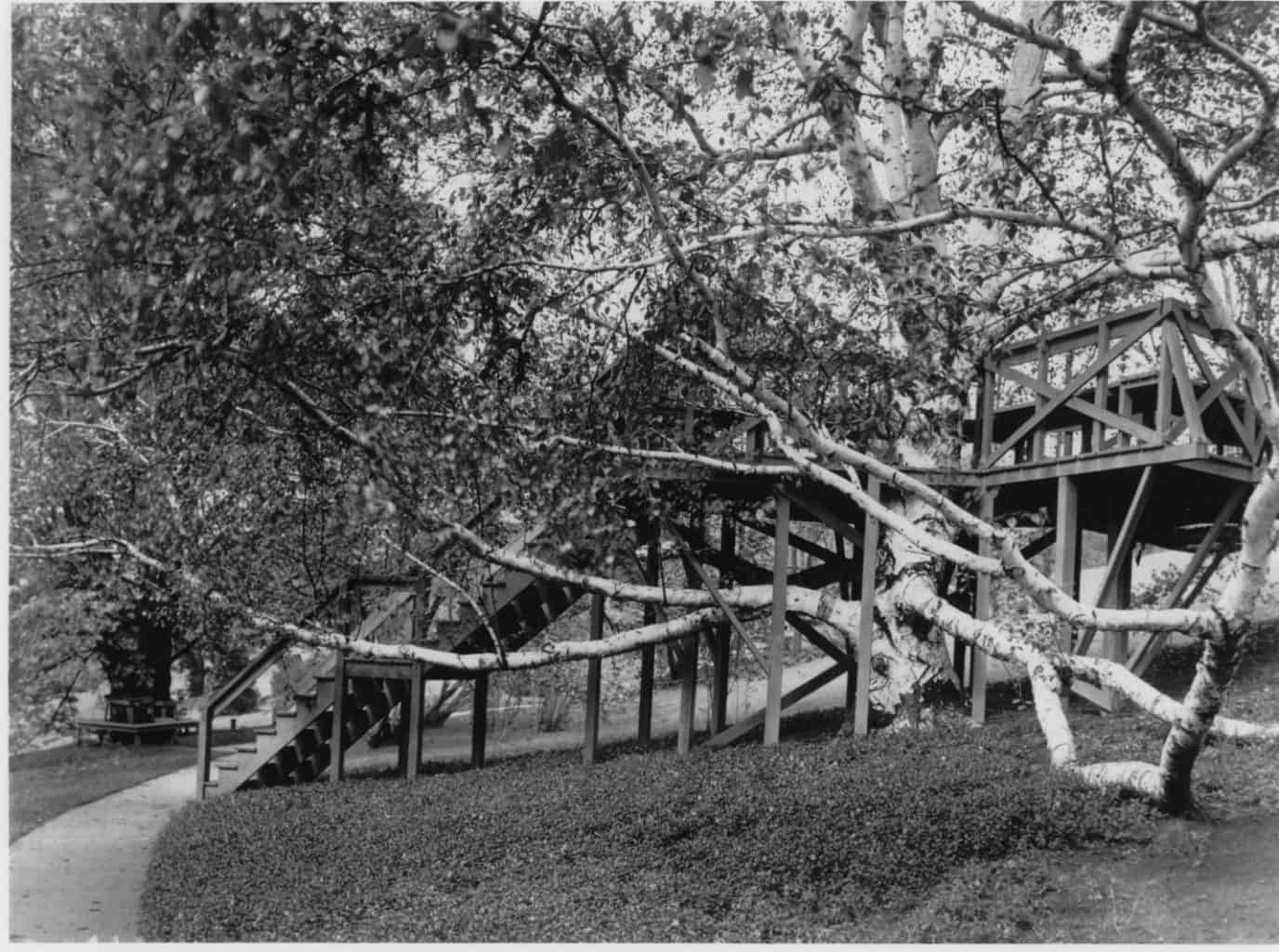 History of the Landscape | Lyndhurst Mansion