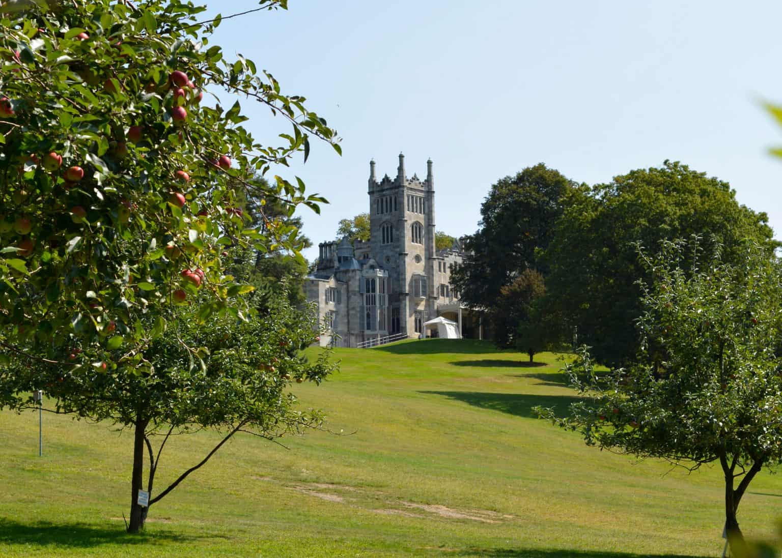 Lyndhurst In Bloom