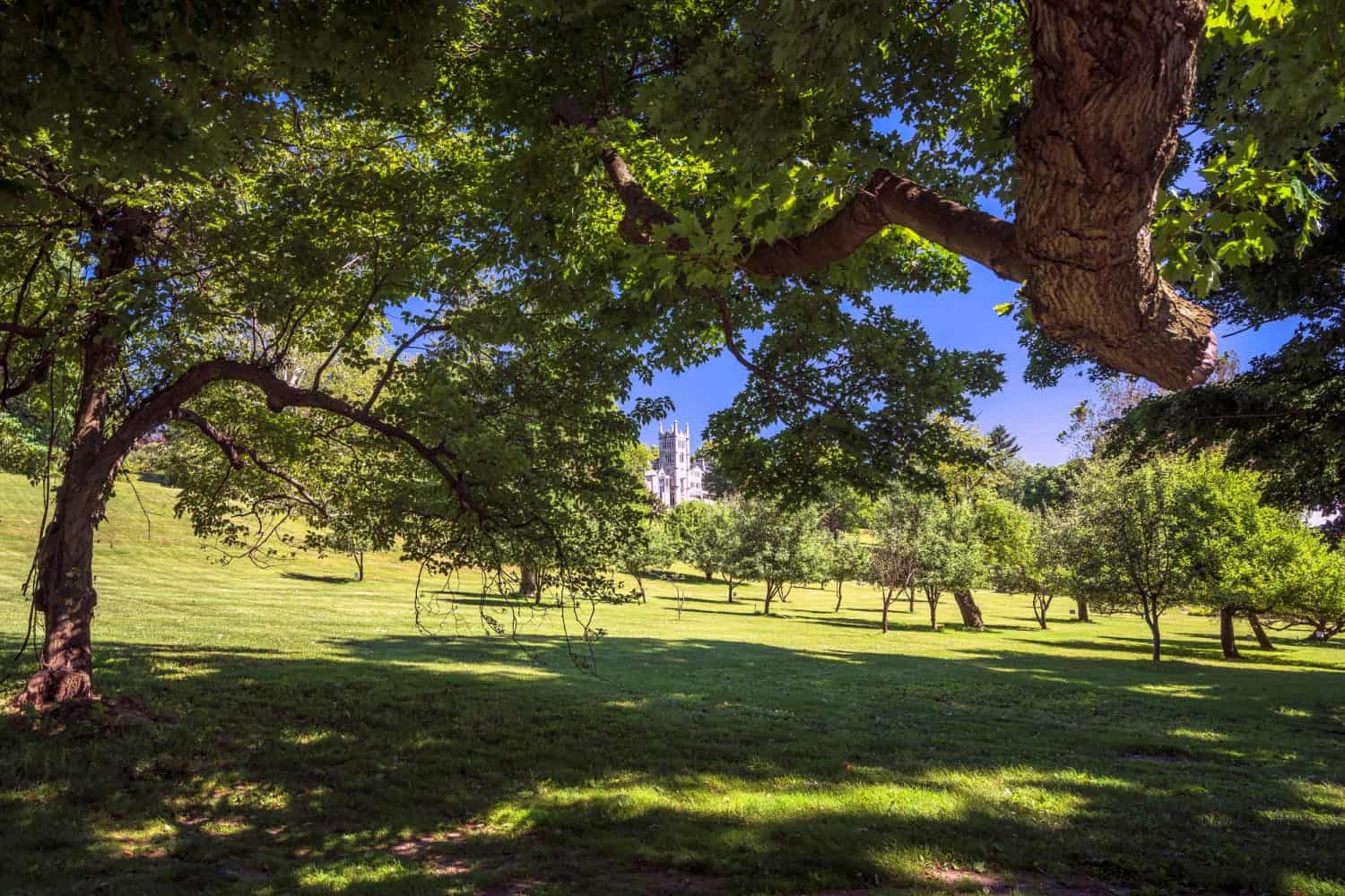 What’s in Bloom | Lyndhurst Mansion