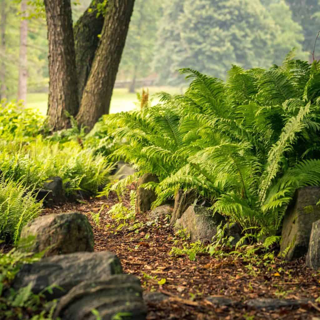 Anna Gould | Lyndhurst Mansion