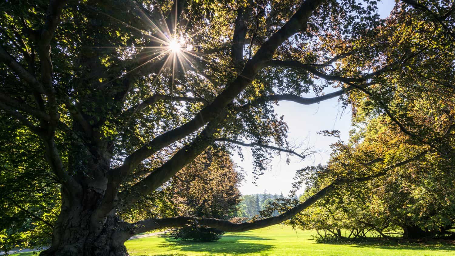 All Events | Lyndhurst Mansion