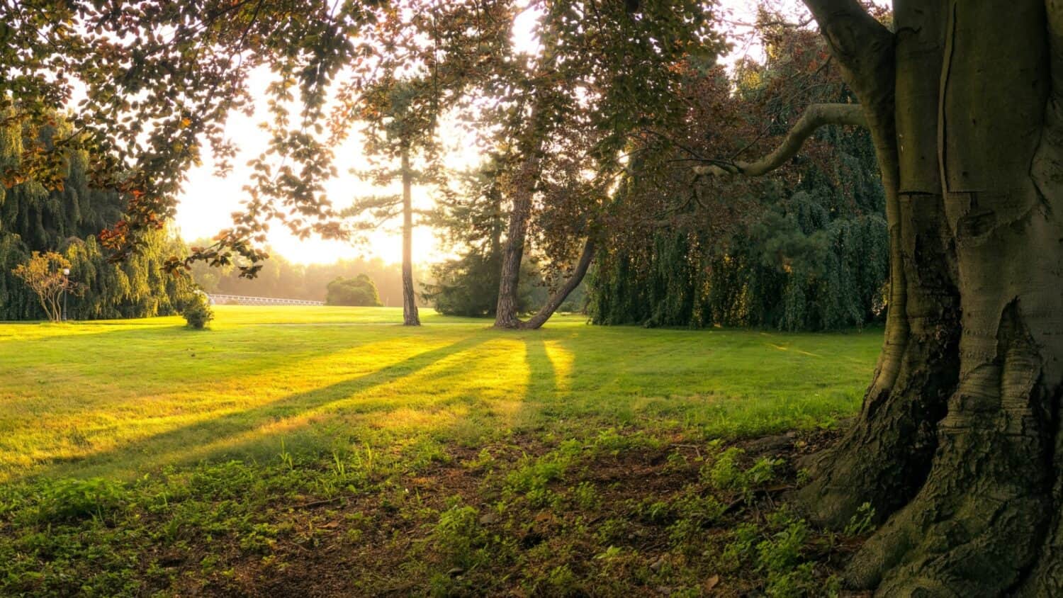 All Events | Lyndhurst Mansion