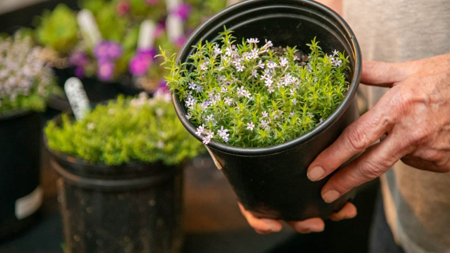 All Events | Lyndhurst Mansion